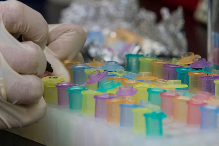 test-tubes-pharmacology | University of California, Irvine ...